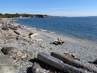 Gravel Beach: Ross Bay