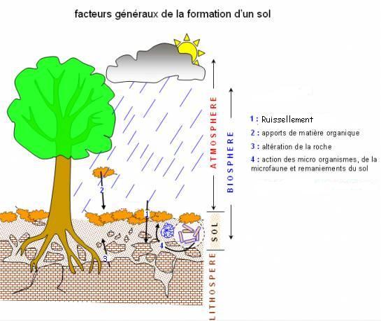 Sols et Agriculture à Tanna: La formation du sol