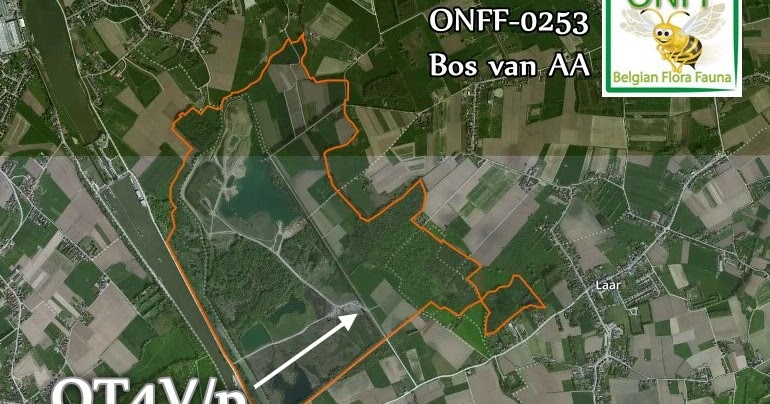 ONFF Blog: ONFF-253 Bos van AA