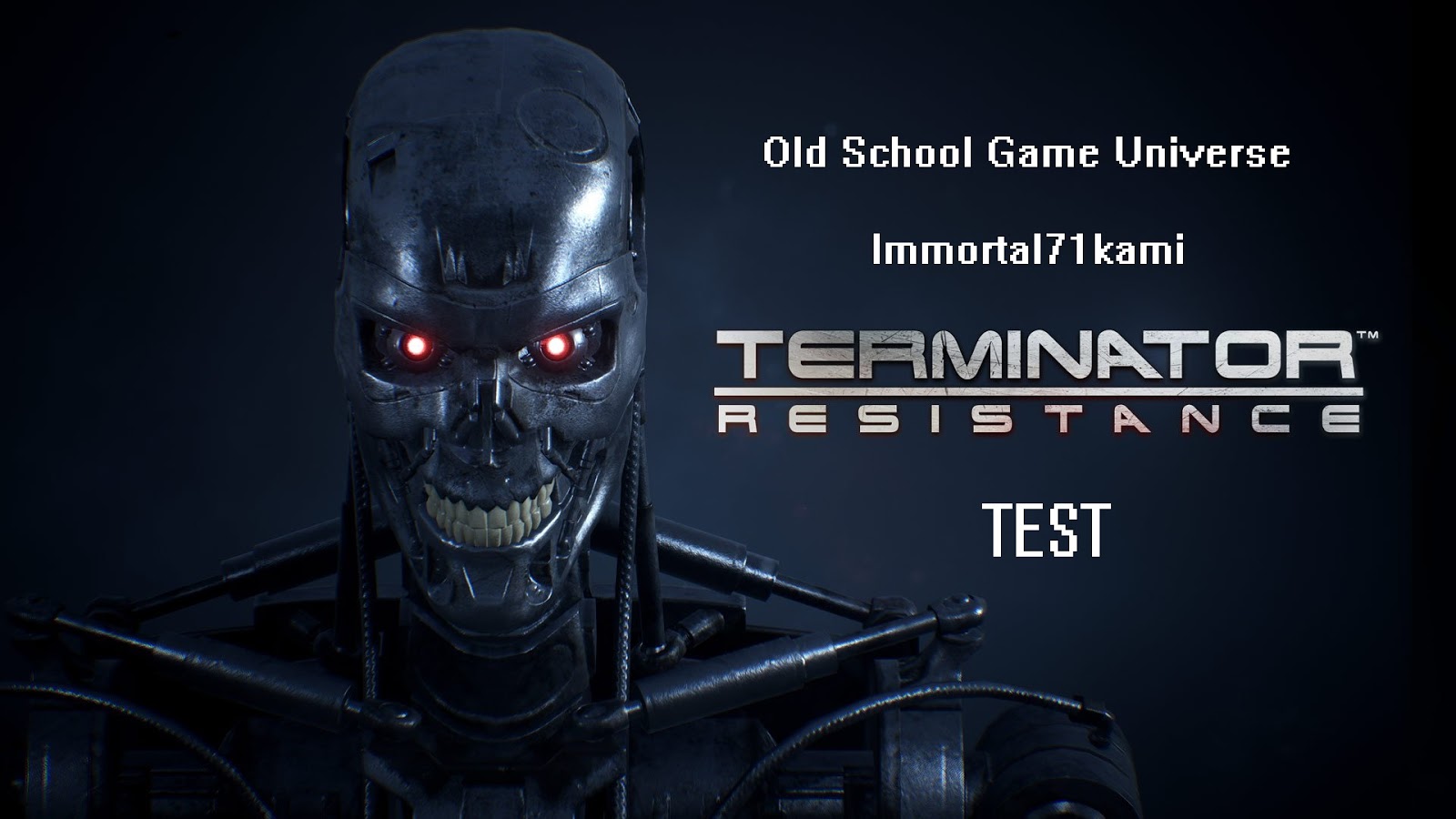 Old School Game Universe: [TEST] TERMINATOR RESISTANCE [XBOX ONE/PS4/PC]