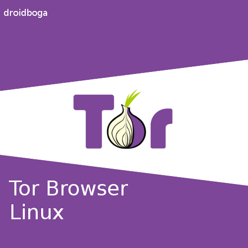 How to setup a tor bridge ubuntu - snoaudit