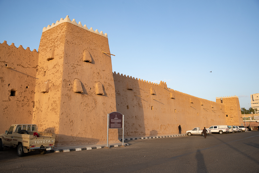 Birds of Saudi Arabia: Al Qishlah Palace – Hail