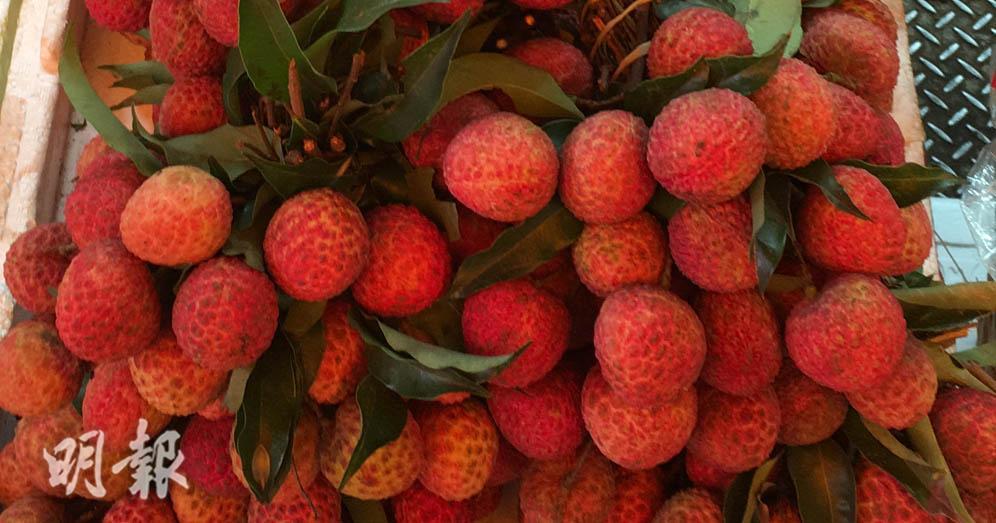 StayGate: Beware of "lychee disease"｜Reminder: Do not eat lychees on an ...