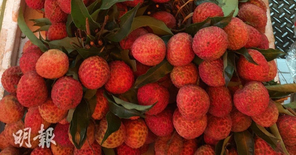 StayGate: Beware of "lychee disease"｜Reminder: Do not eat lychees on an ...