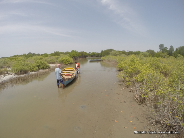 Pitchavaram mangrove forest and beach boat ride- is it worth? - eNidhi ...