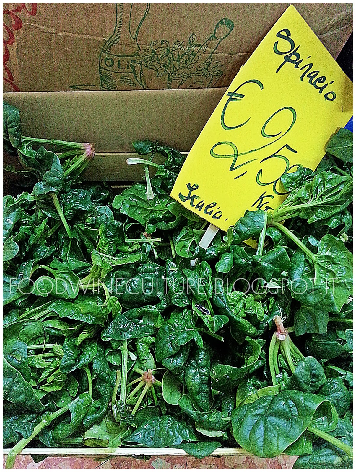 Food Wine & Culture: Ortofrutticola di Schenone - Rapallo