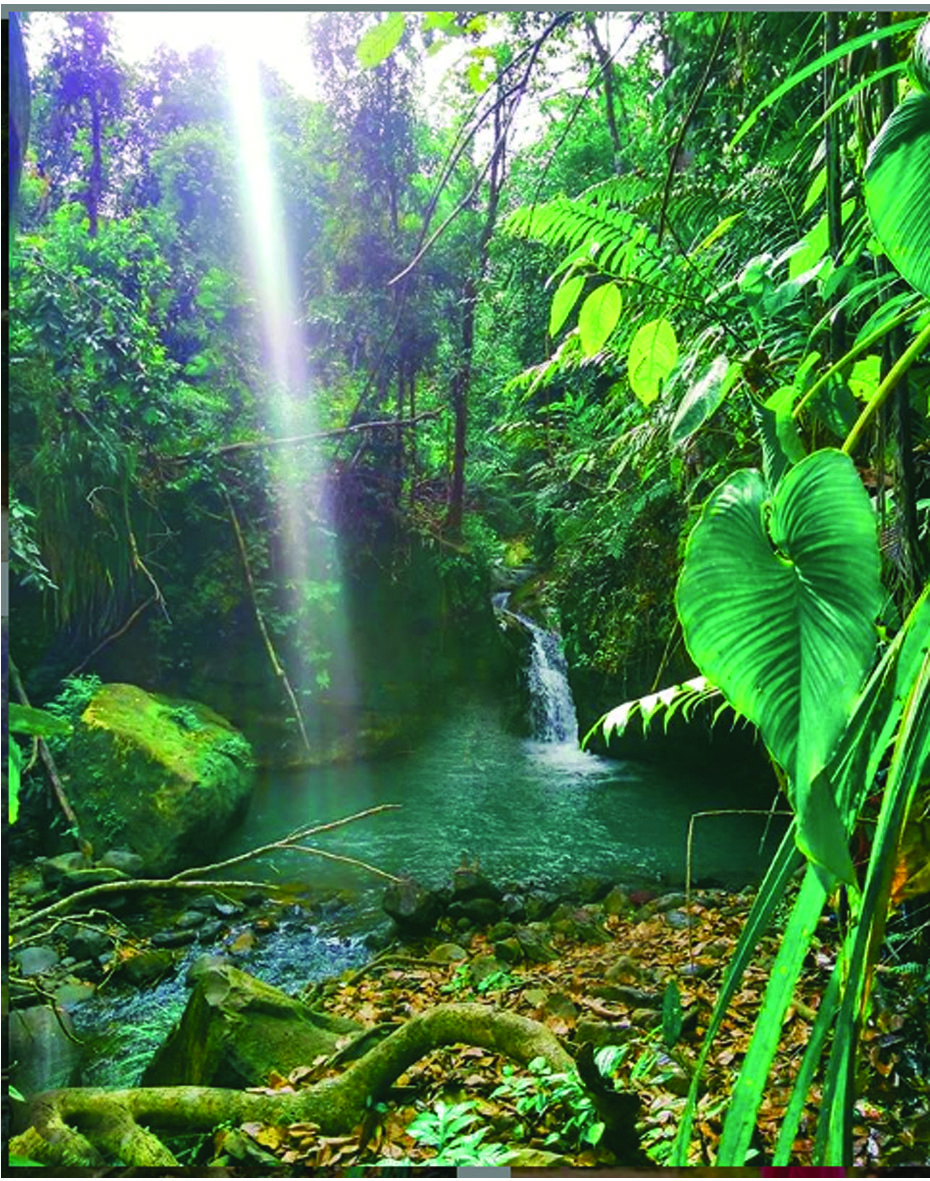 TEMPAT WISATA SELUMA, BENGKULU TERBARU YANG WAJIB DIKUNJUNGI BERSAMA ...