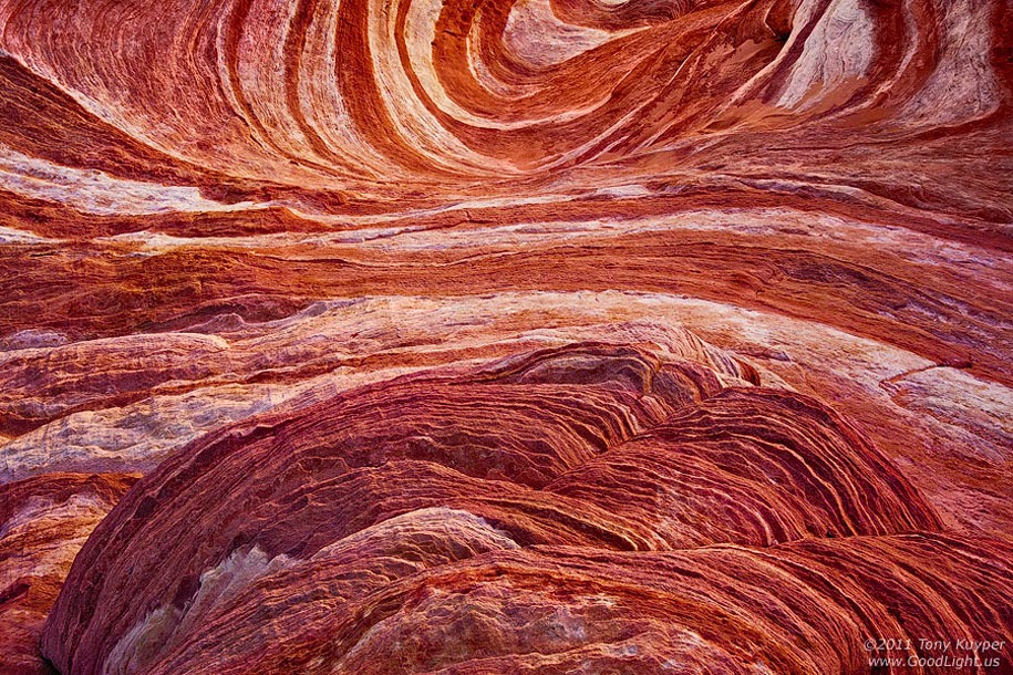 35 Breathtaking Examples of Patterns in Nature