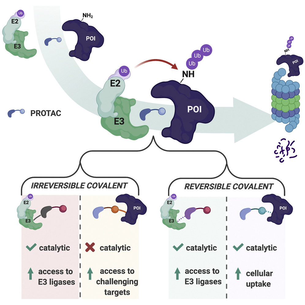 Covalent Modifiers: The role of reversible and irreversible covalent ...