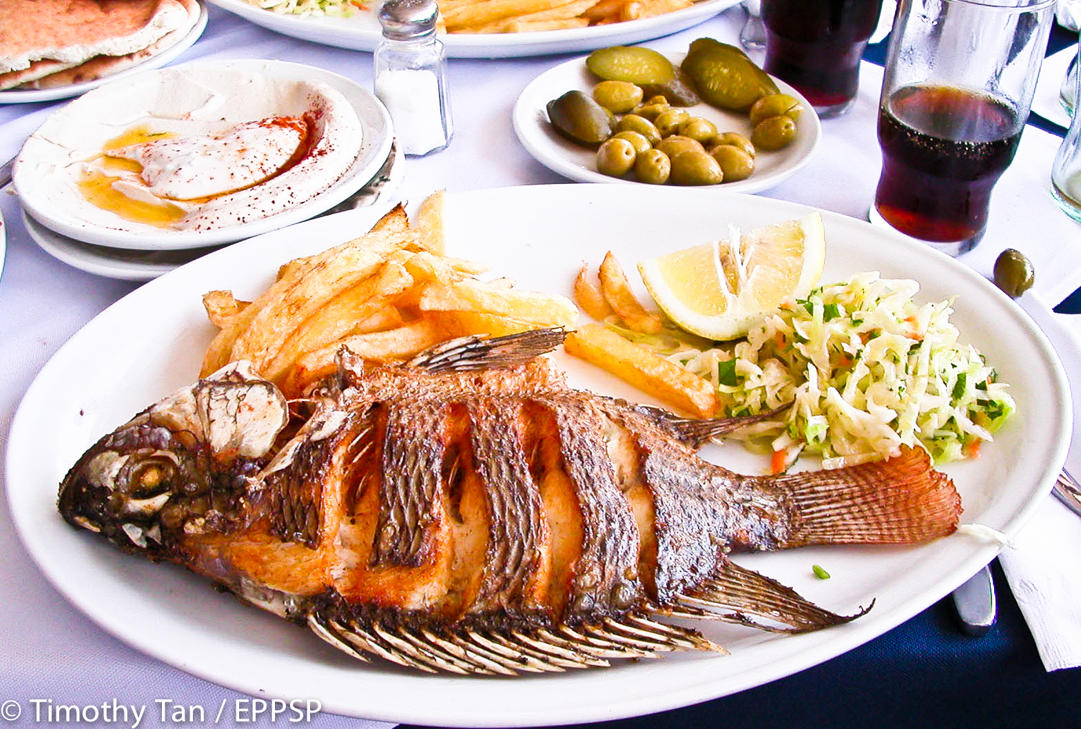 Bucket List: Journey to Biblical Tiberias and Galilee