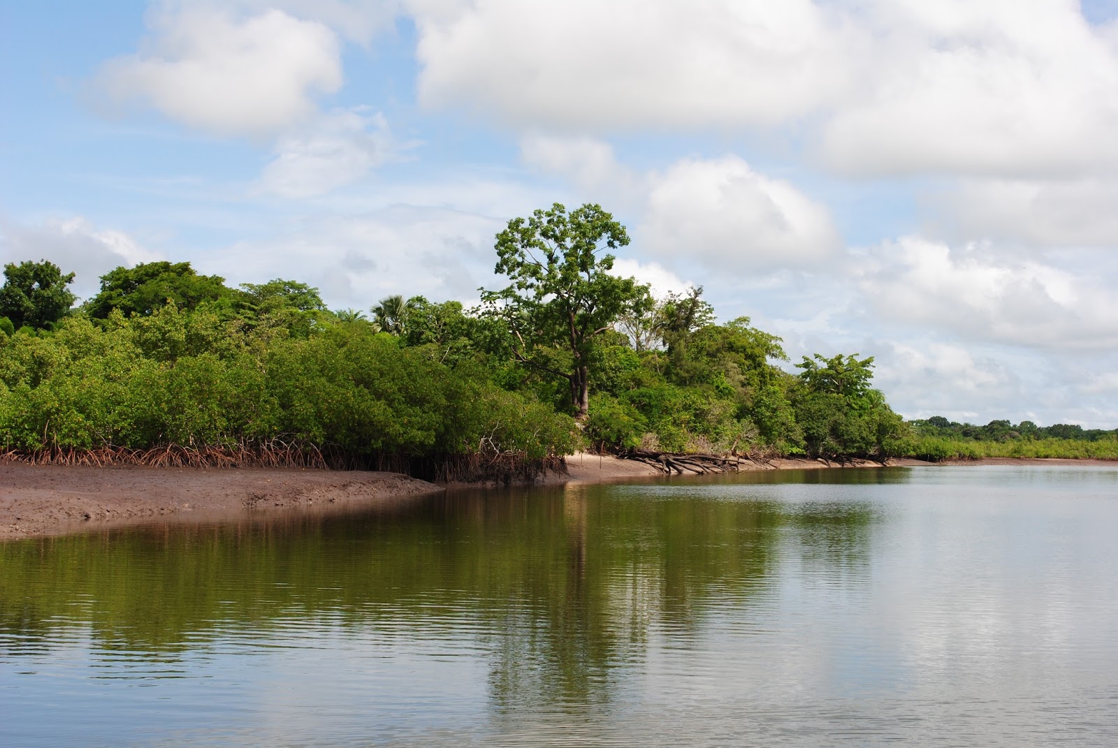 BIRD Magazine: ESTÓRIAS DO CACHEU