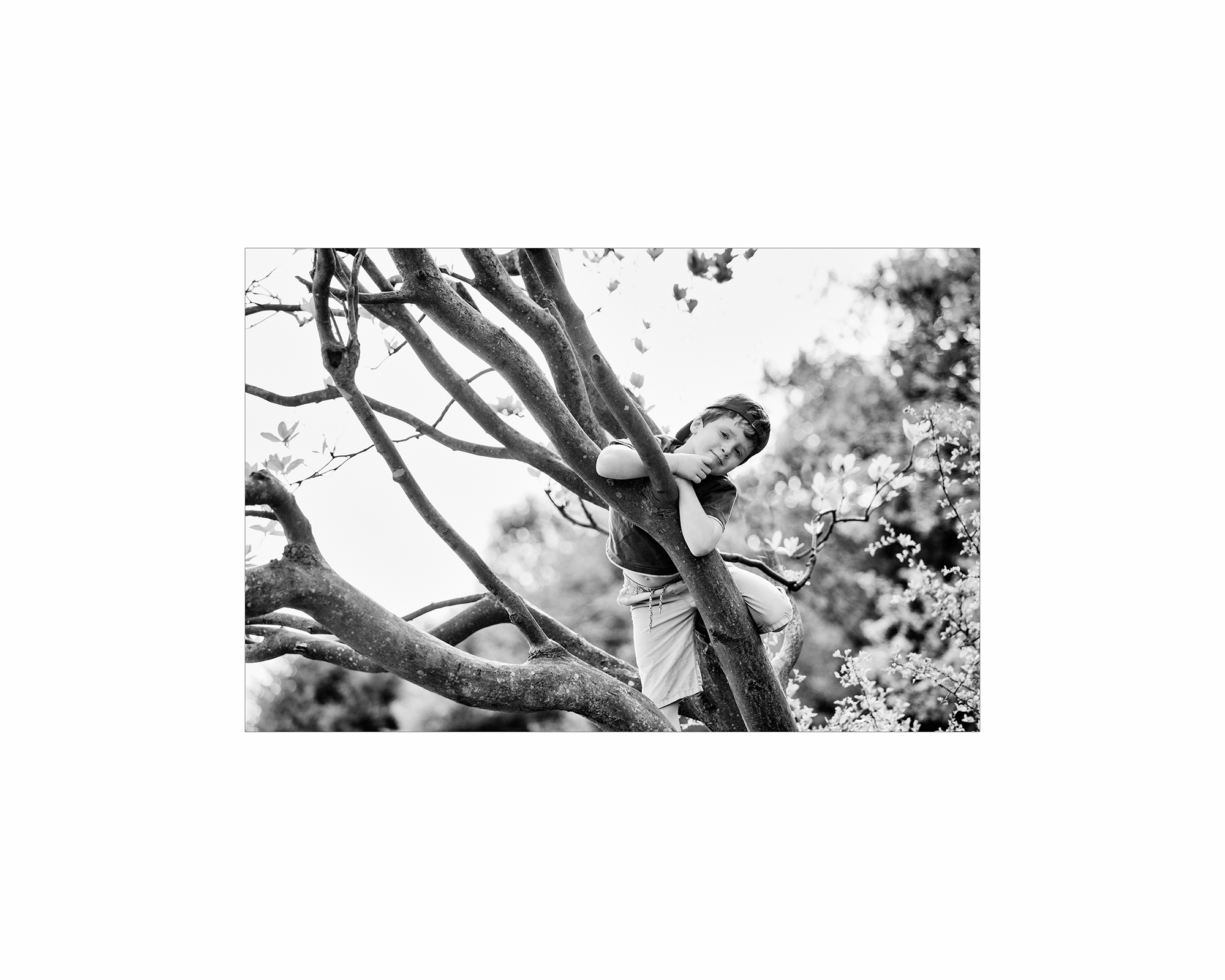 kevin wilson photography