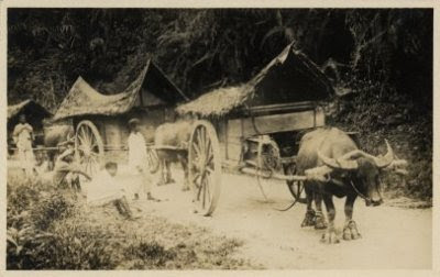 Pedati, Kendaraan Angkutan Barang Tempo Doeloe - salingkaluak