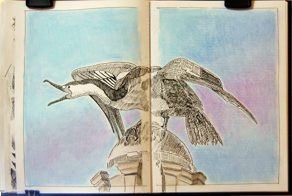 MindTheLiverpool: Liver Bird (cormorant)