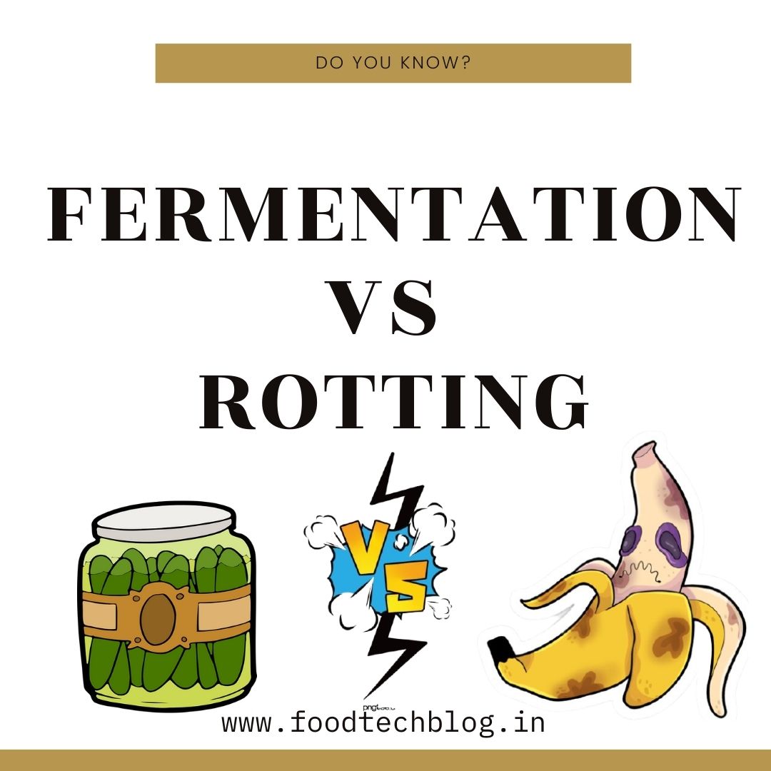 Fermentation VS Rotting. What's the difference