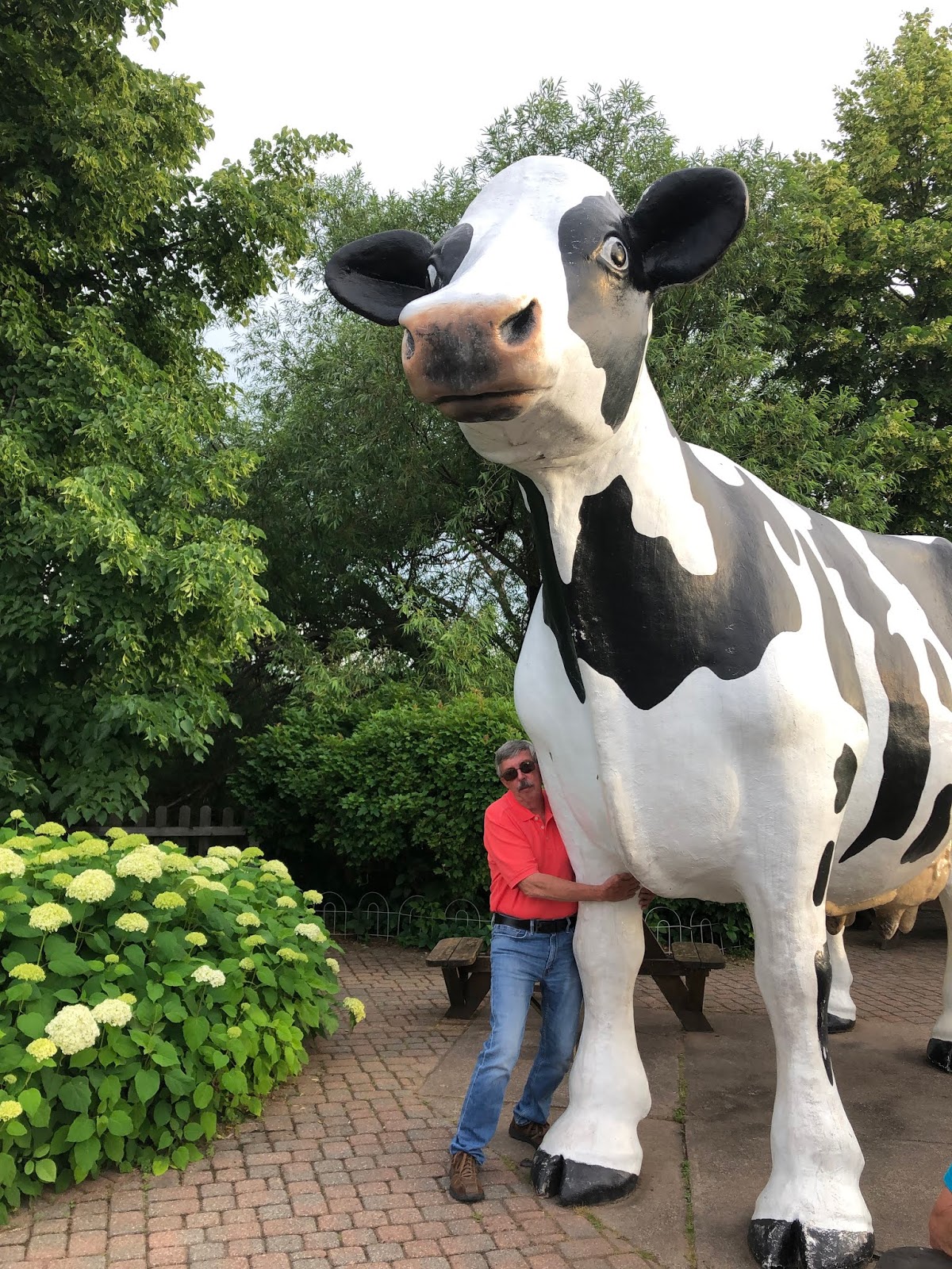 Adventures of Boreas