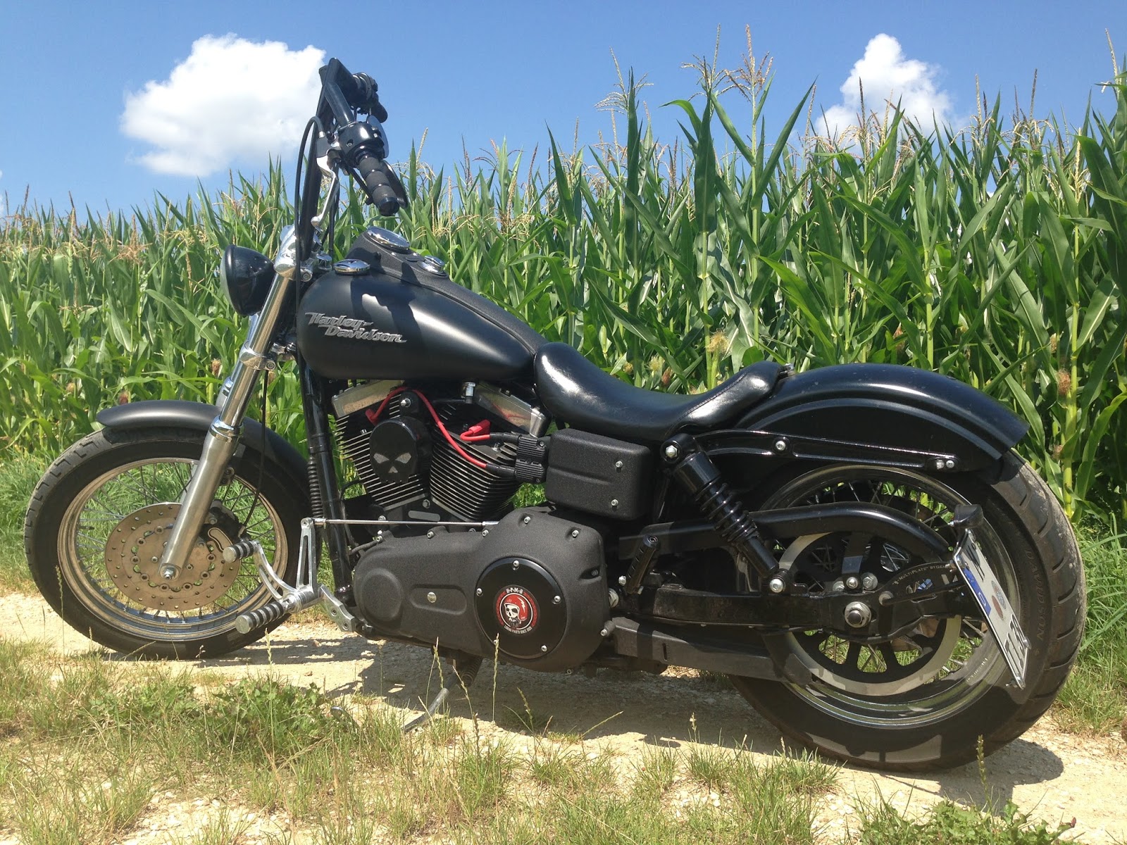 HPMB-----------------: Dyna Street Bob Heckumbau