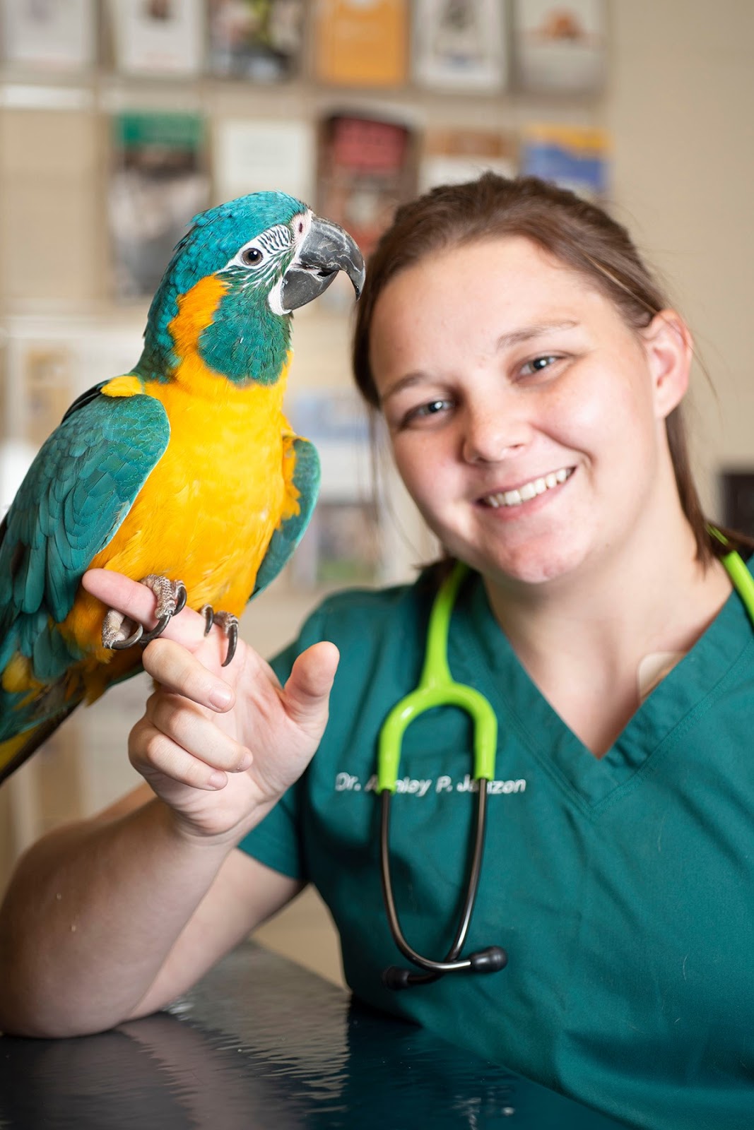 CVM News and Events: Blue Throated Macaw a critically endangered parrot