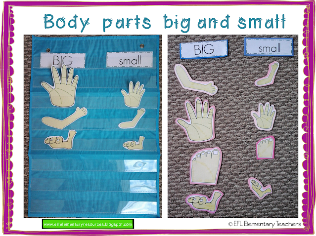EFL Elementary Teachers: Body Theme for Elementary Language Learners