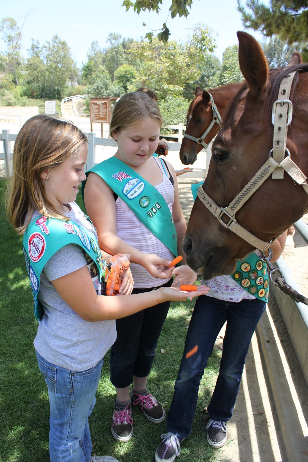 HUNTINGTON BEACH GIRL SCOUT TROOP 746: EARNING THE HORSE RIDER BADGE