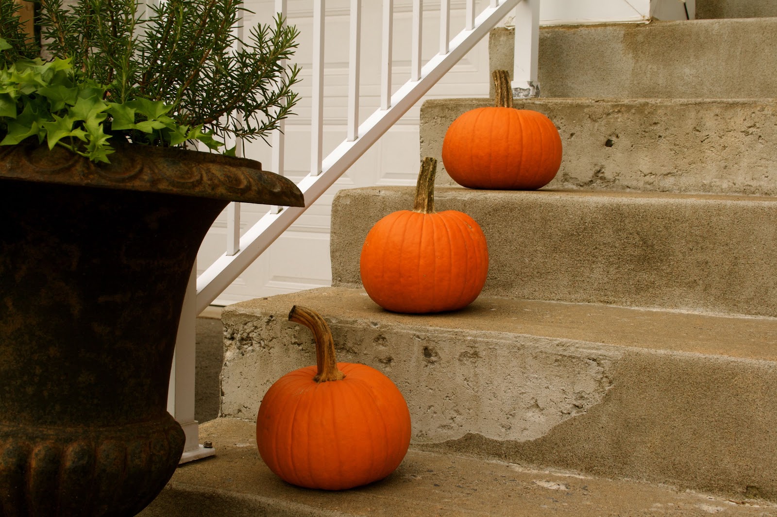 Experience the Wonderful.: oh...hello fall.