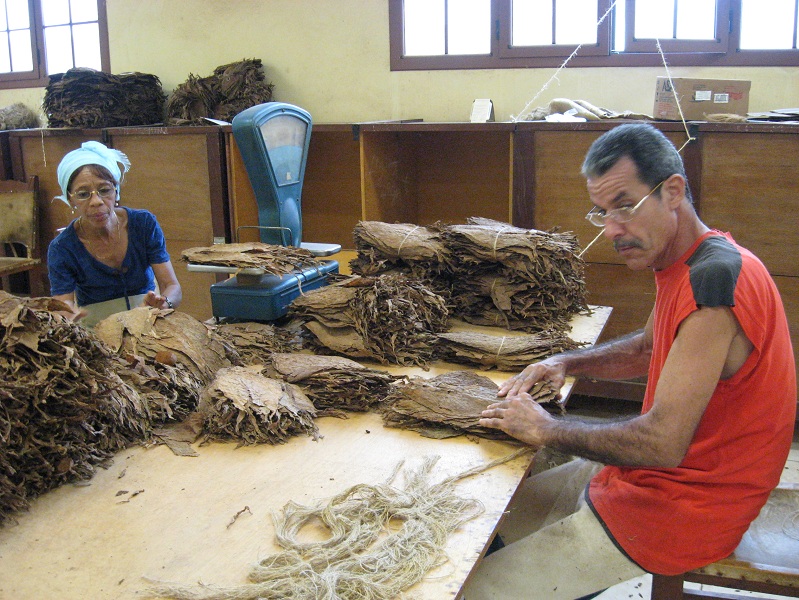 Cuban Cigars, Culture & Lifestyle: H.Upmann cigar factory (Havana)