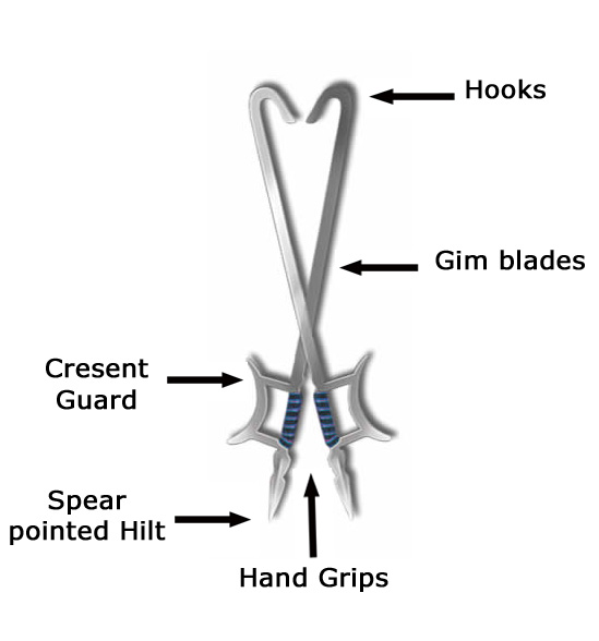 Choy Li Fut Double Hook Swords