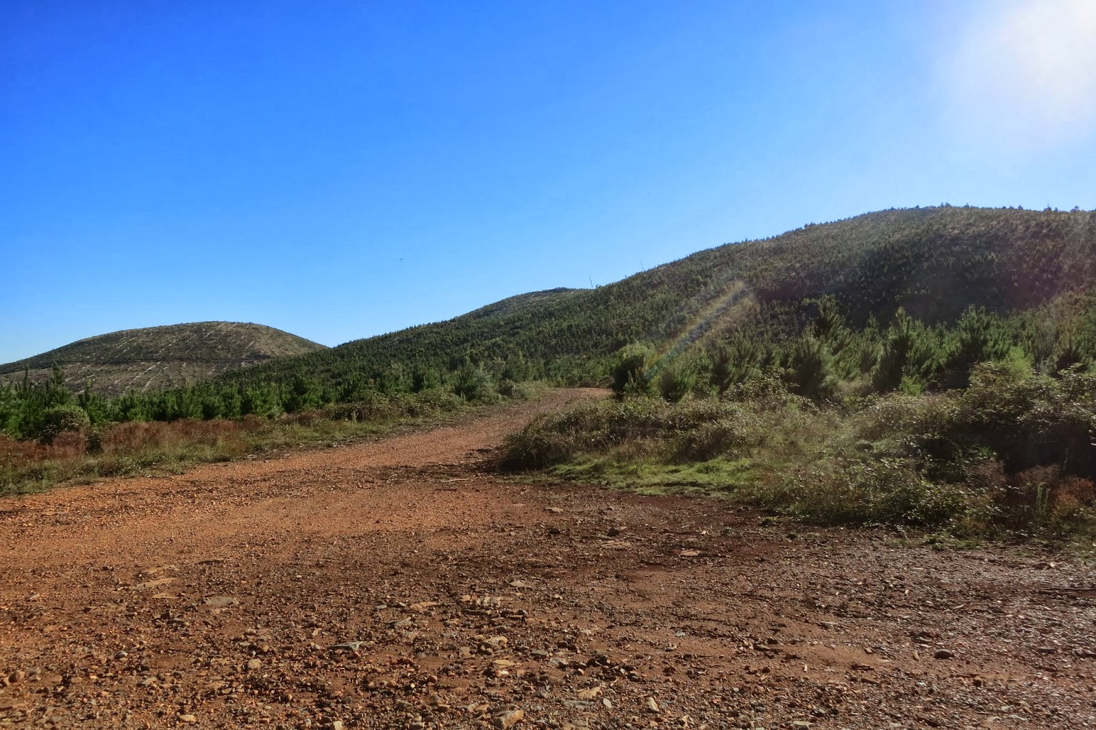 VK1DI's Blog: SOTA Activation Yankee Ned Hill