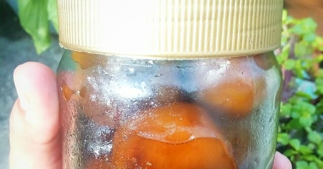 Dulce de cópite tradicional de Veracruz.