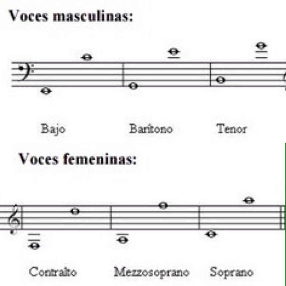 Tipos de Voces. Voces Masculinas