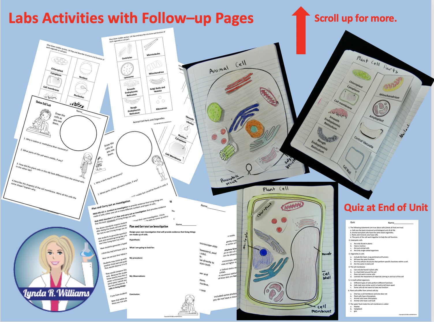 Cell Parts and Function Activities for Middle School - Teaching Science ...