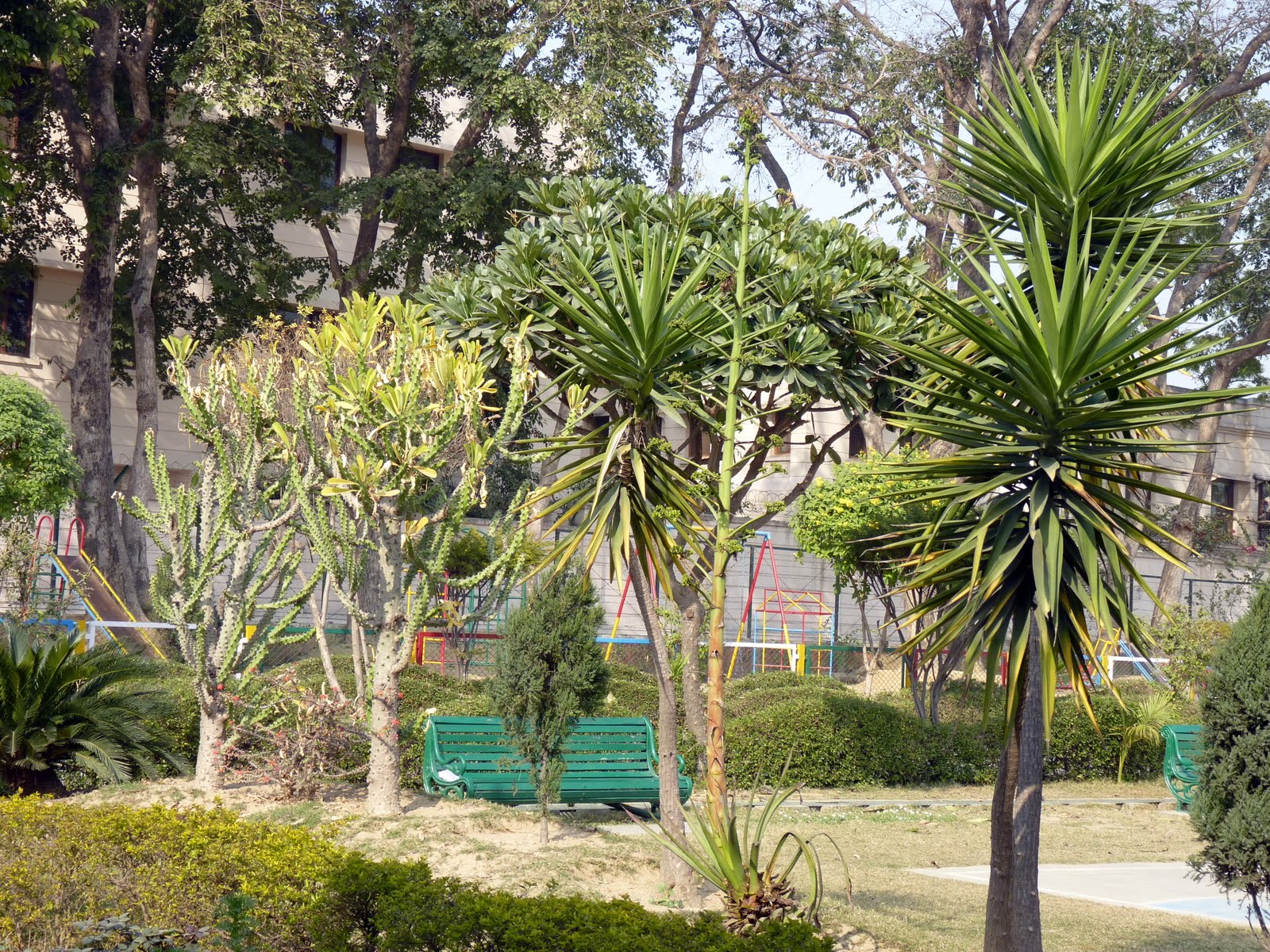 Dr S N Prasad, Mysore, India: The Alluring Aura of Anoopshahr ...