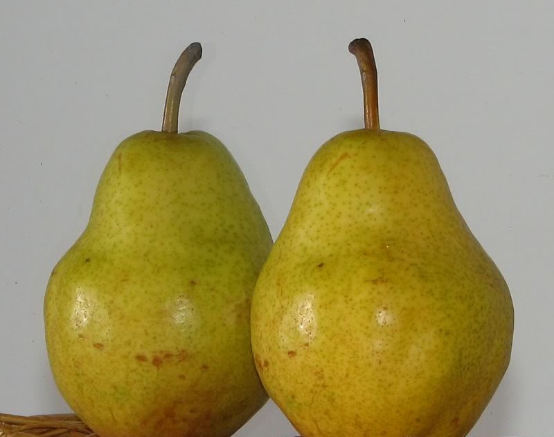 Chronicles of My Soul: MARAHIL