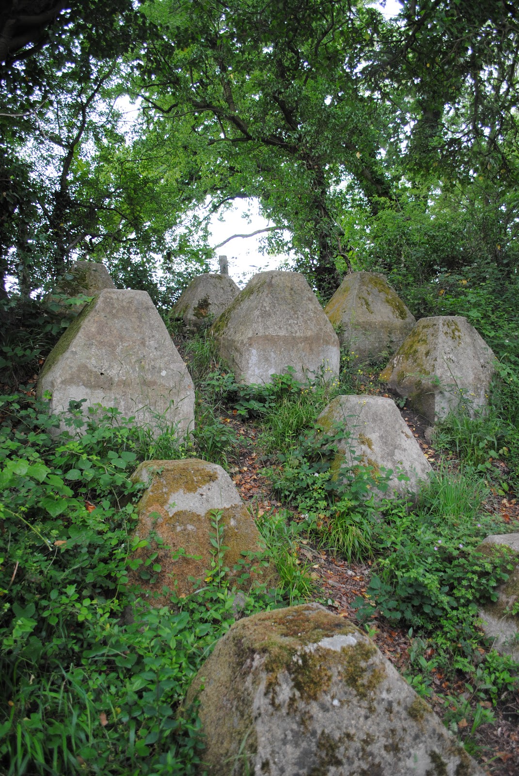 Walksalot: Barley mow bridge to Crookham Wharf - basingstoke canal walk ...