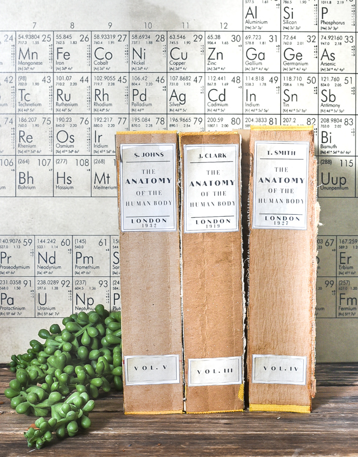 Free Printable: Vintage-Inspired Anatomy Book Labels | Little House of ...