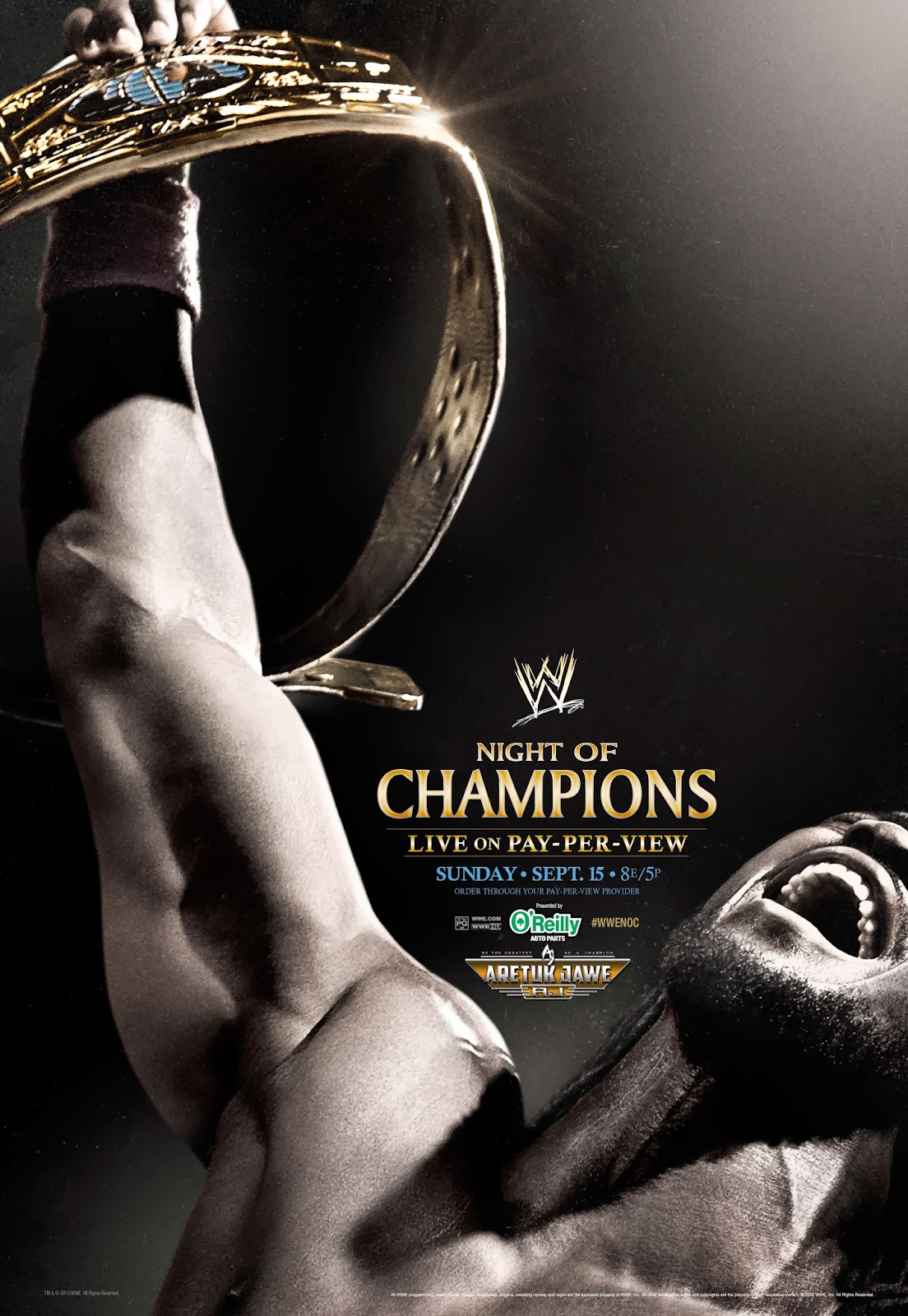 Aretuk Jawe: 2013 WWE Pay Per View Posters Collection