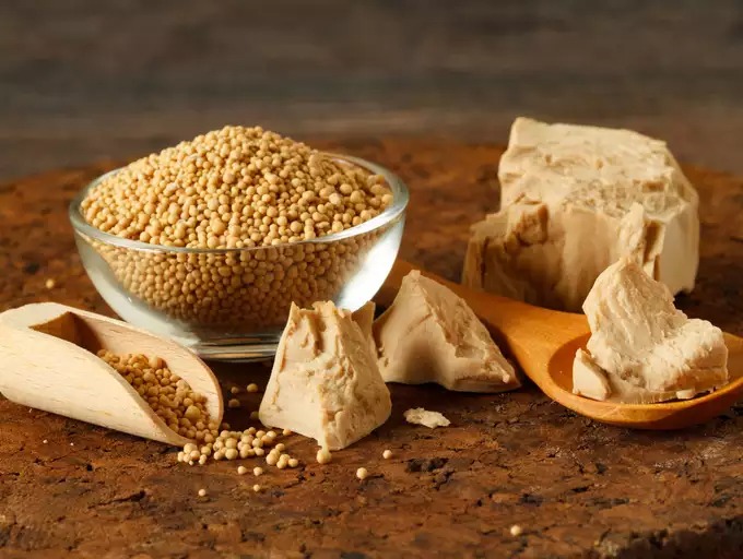 Jenis-jenis Ragi atau Yis (Yeast) ~ Must Read!