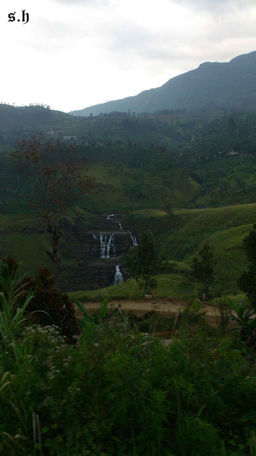 picture box: nacharal