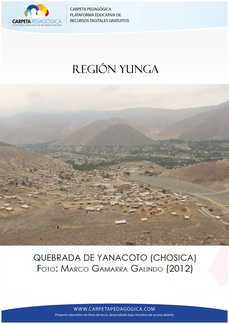 Región Yunga | Ciencia Geográfica
