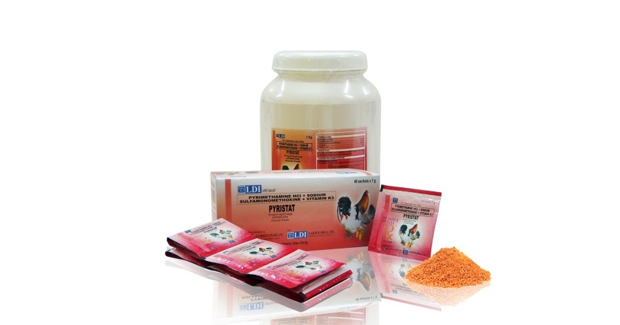 Sabong Guide: Paano Agapan ang Avian Malaria at Coccidiosis