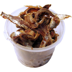 Cozinha do Rodrigo J.B.: Peixe em Conserva - Anchovas (Aliche)