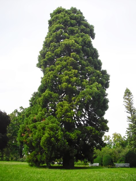 Wege in der Region Stuttgart: Zwischen Rosensteinpark und Wilhelma