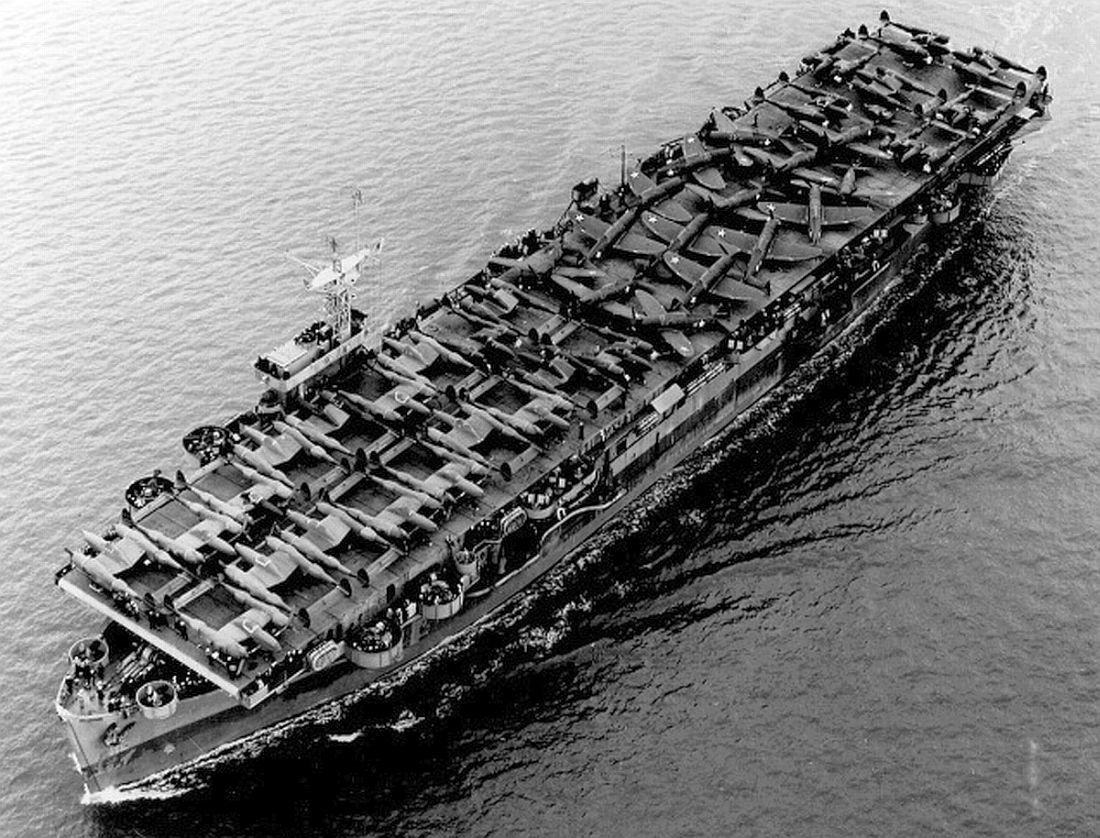 Blog Archives - JC's Aviary and Nature