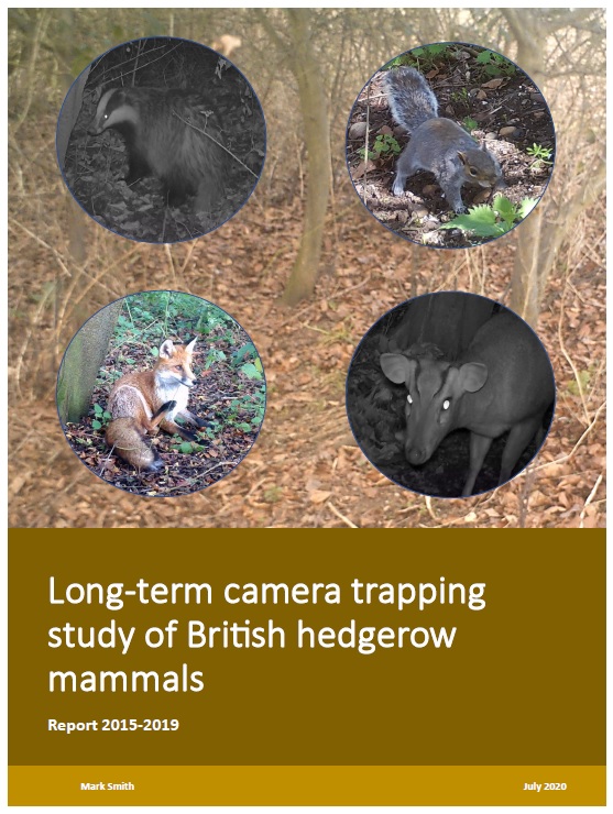 Musings on the Wild: Long term camera trapping study of British ...