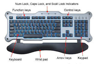 Input devices of computer