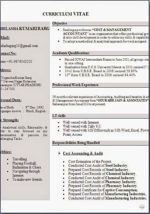examples of professional cv