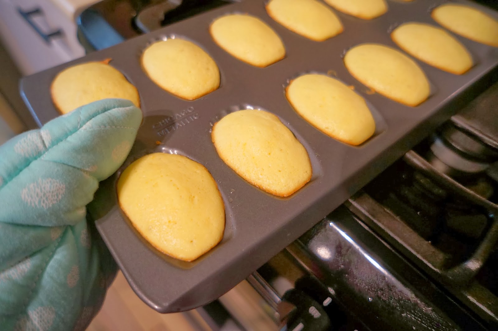 What I Ate: Madeleines