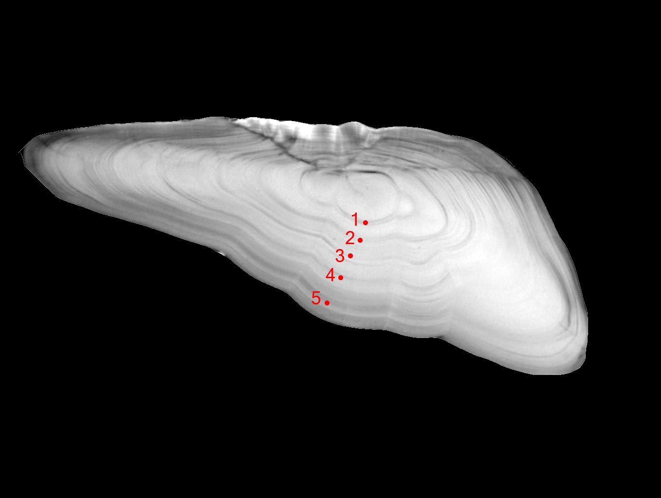 Scientists@Sea: May 2012