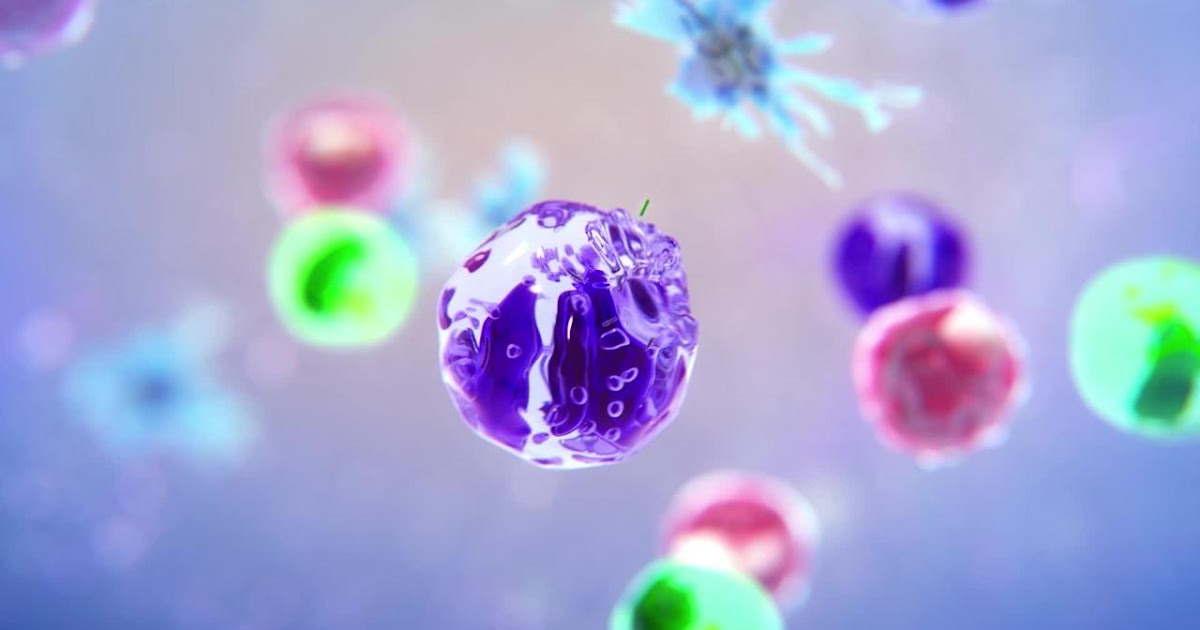 LíNea de Salud: Tipos células sistema inmune