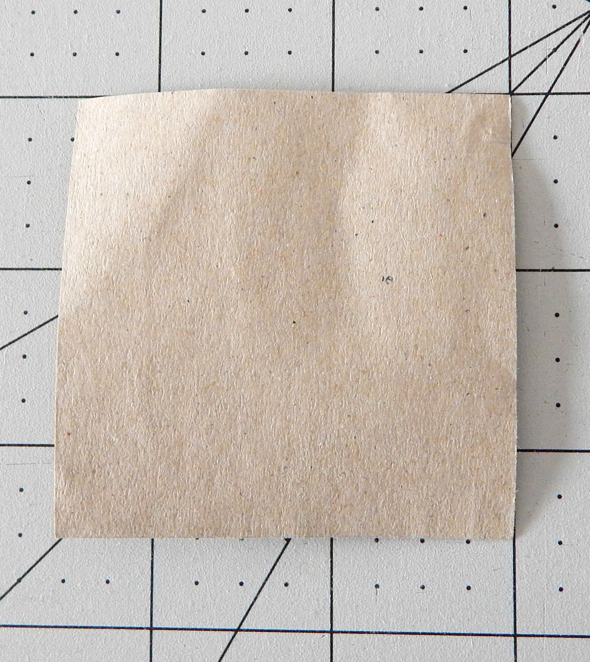 Modern Cologne Quilters: Polaroid-QAL- was ist fuzzy cutting?